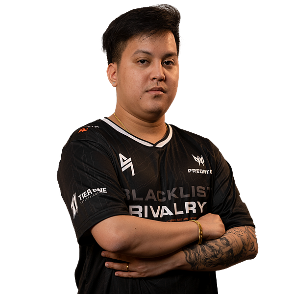 Karl, Dota 2 - player biography, awards, matches, statistics — Escorenews