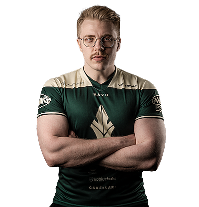 sLowi, CS 2 - player biography, awards, matches, statistics — Escorenews