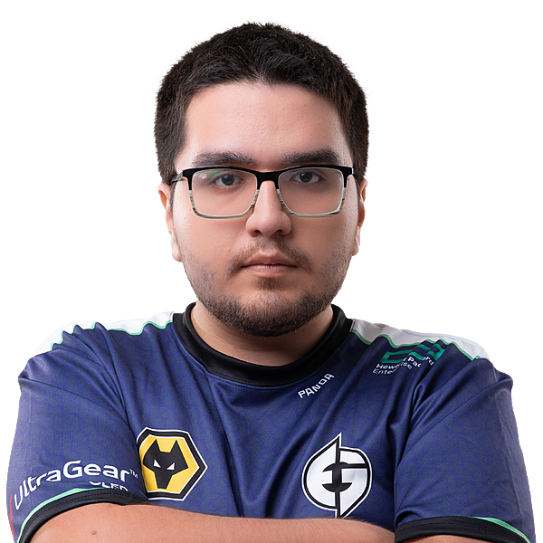 Panda, Dota 2 - player biography, awards, matches, statistics — Escorenews