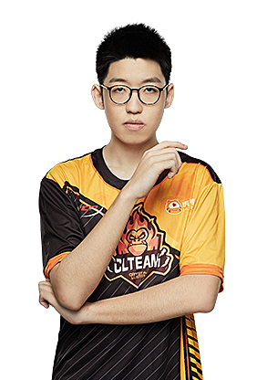 DCR PUBG, player biography, matches, statistics