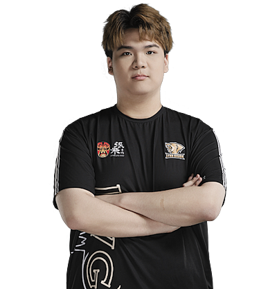 Starry, CS 2 - player biography, awards, matches, statistics — Escorenews