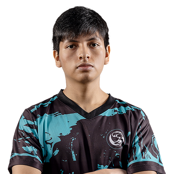 payk, Dota 2 - player biography, awards, matches, statistics — Escorenews