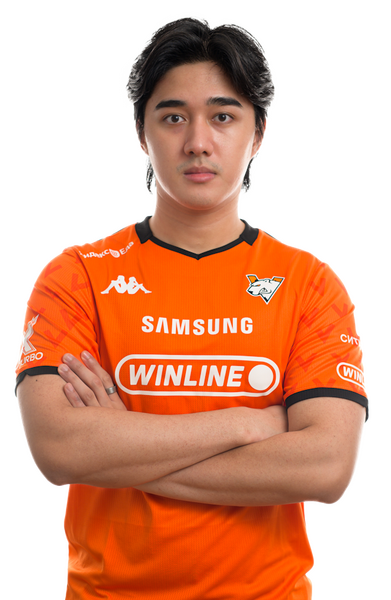 Abed, Dota 2 - player biography, awards, matches, statistics — Escorenews