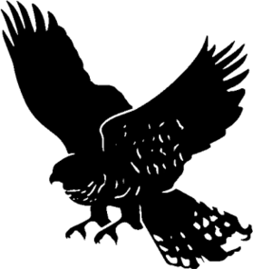 AIC - team roster, matches, statistics — Escorenews