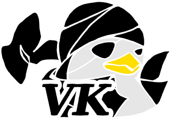 VK - team roster, matches, statistics — Escorenews