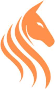 STS - team roster, matches, statistics — Escorenews