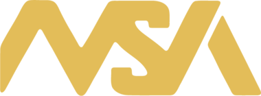 MSA - team roster, matches, statistics — Escorenews