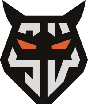 SW - team roster, matches, statistics — Escorenews