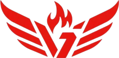 NVG - team roster, matches, statistics — Escorenews