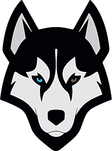 Husky - team roster, matches, statistics — Escorenews