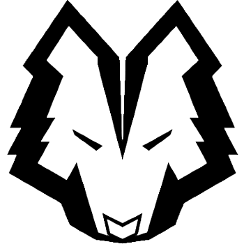 VTX - team roster, matches, statistics — Escorenews