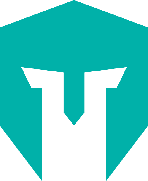 IMT - team roster, matches, statistics — Escorenews