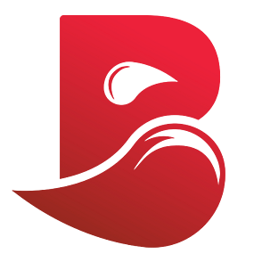 BLD - team roster, matches, statistics — Escorenews