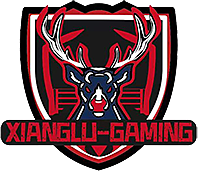 XLG - team roster, matches, statistics — Escorenews