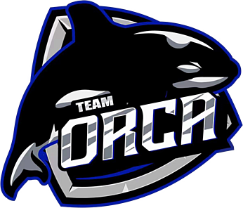 Orca - team roster, matches, statistics — Escorenews