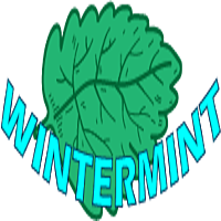 WIN - team roster, matches, statistics — Escorenews