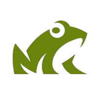 Frog - team roster, matches, statistics — Escorenews