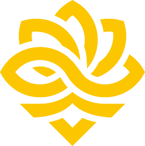 LGC - team roster, matches, statistics — Escorenews