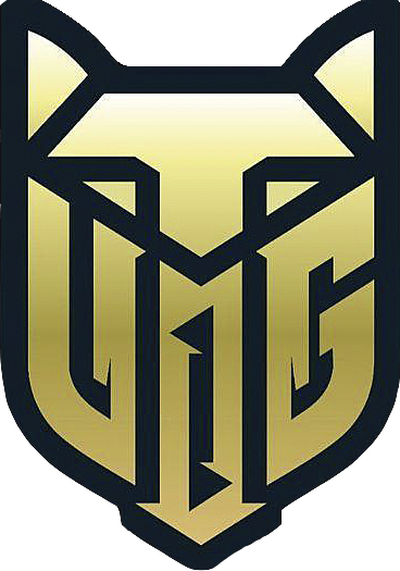 V1G - состав команды, матчи, статистика, достижения — Escorenews