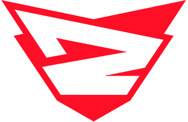 Rebels - team roster, matches, statistics — Escorenews