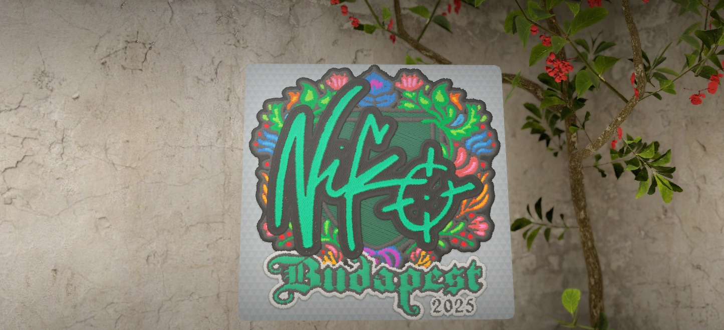 All team and signature stickers of StarLadder Budapest Major 2025. Donk ...