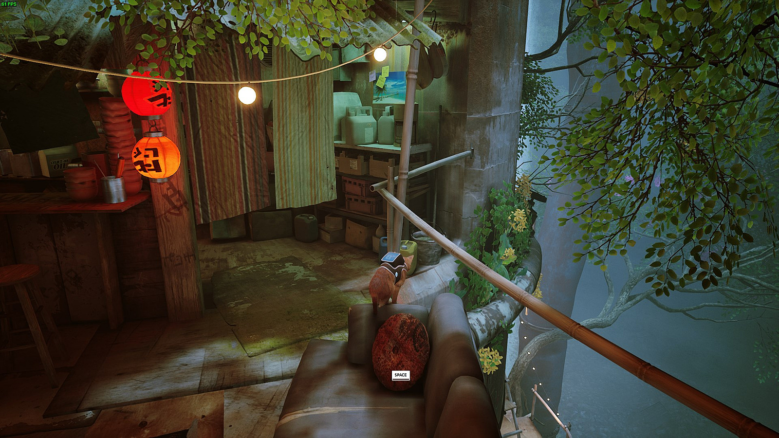 Where to find all plants in Antvillage Malo quest Stray guide Plant ...