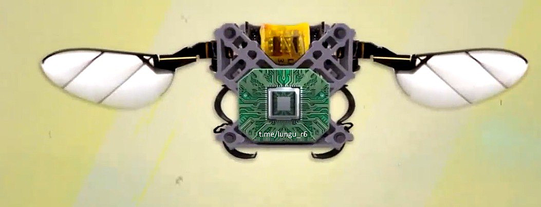 R6 Leaks: Operator Loadout changes, reputation penalties, Battle Pass ...