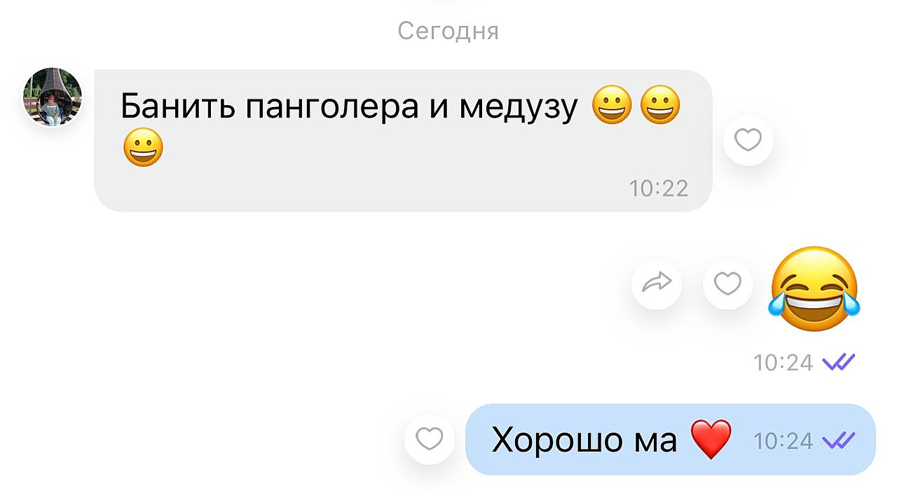 Мама Rodjer посоветовала 9pandas банить Pangolier и Medusa перед матчем