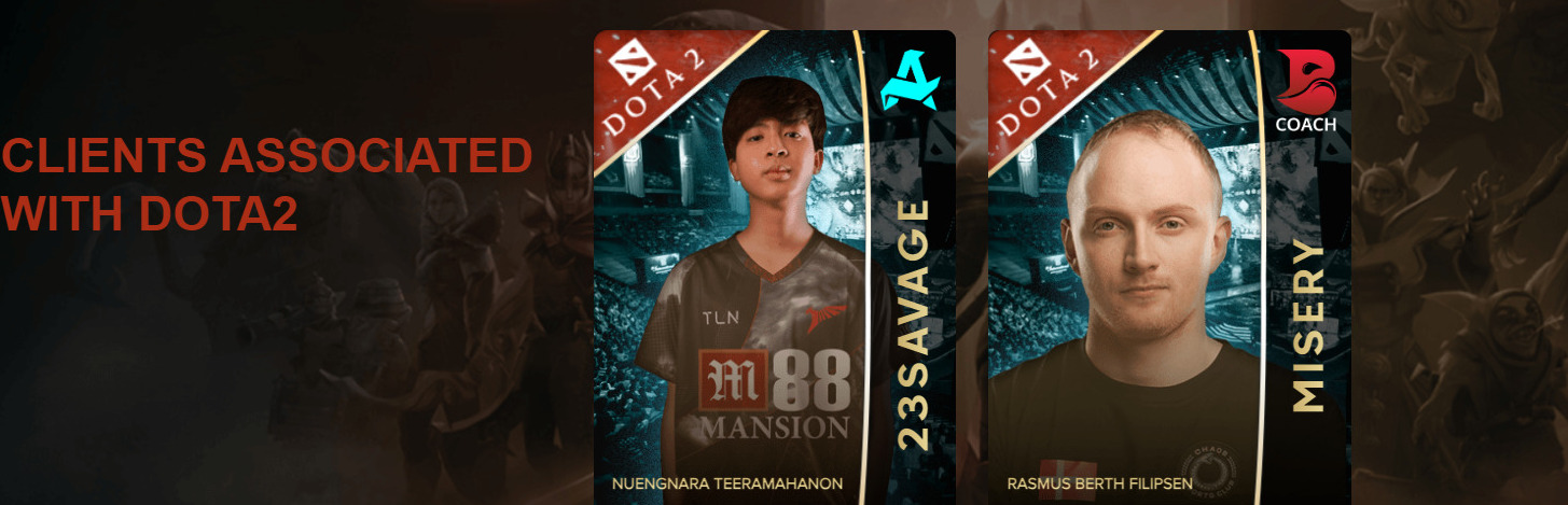 Taiga disappears from ULTI Agency's clients after 322 accusations, his ...