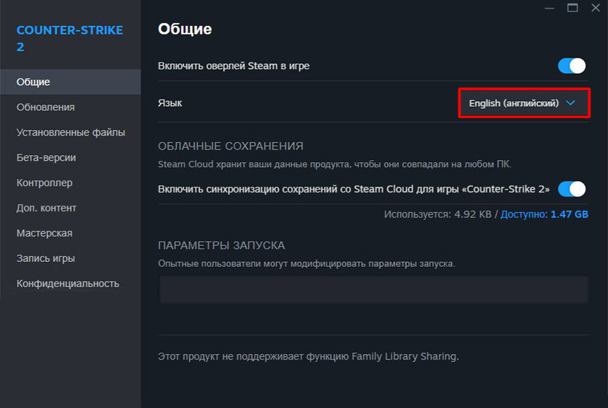 Не запускается Cs 2 в Steam — как решить проблему — Escorenews