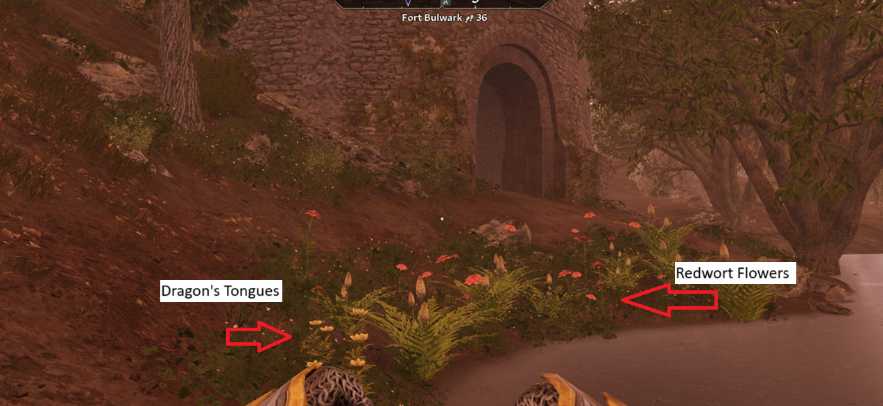 Where to find Dragon's Tongues and Redwort Flowers flowers in Oblivion ...