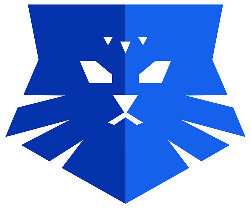 Russian Esports Championship 2024 - schedule, results, prize pool, statistics — Escorenews